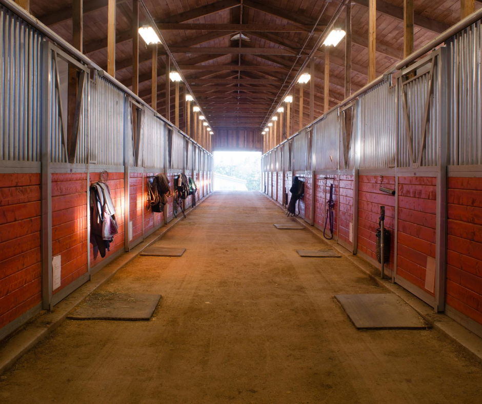 Stable and Accessories – Southern Equine Distributing