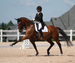 Equine & Canine Omega Complete | Southern Equine Distributing