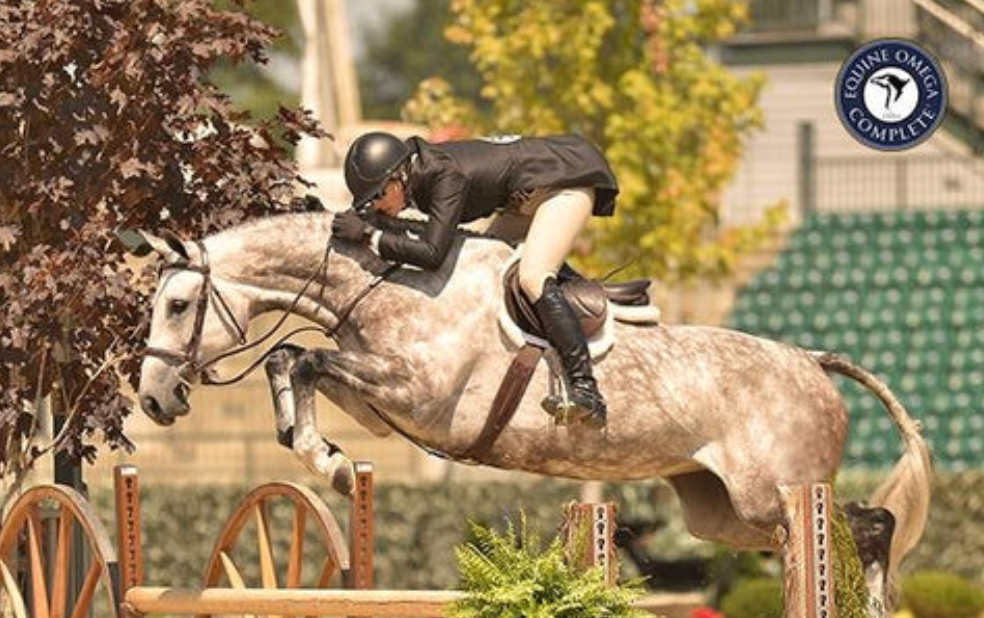 Equine & Canine Omega Complete Canada – Southern Equine Distributing