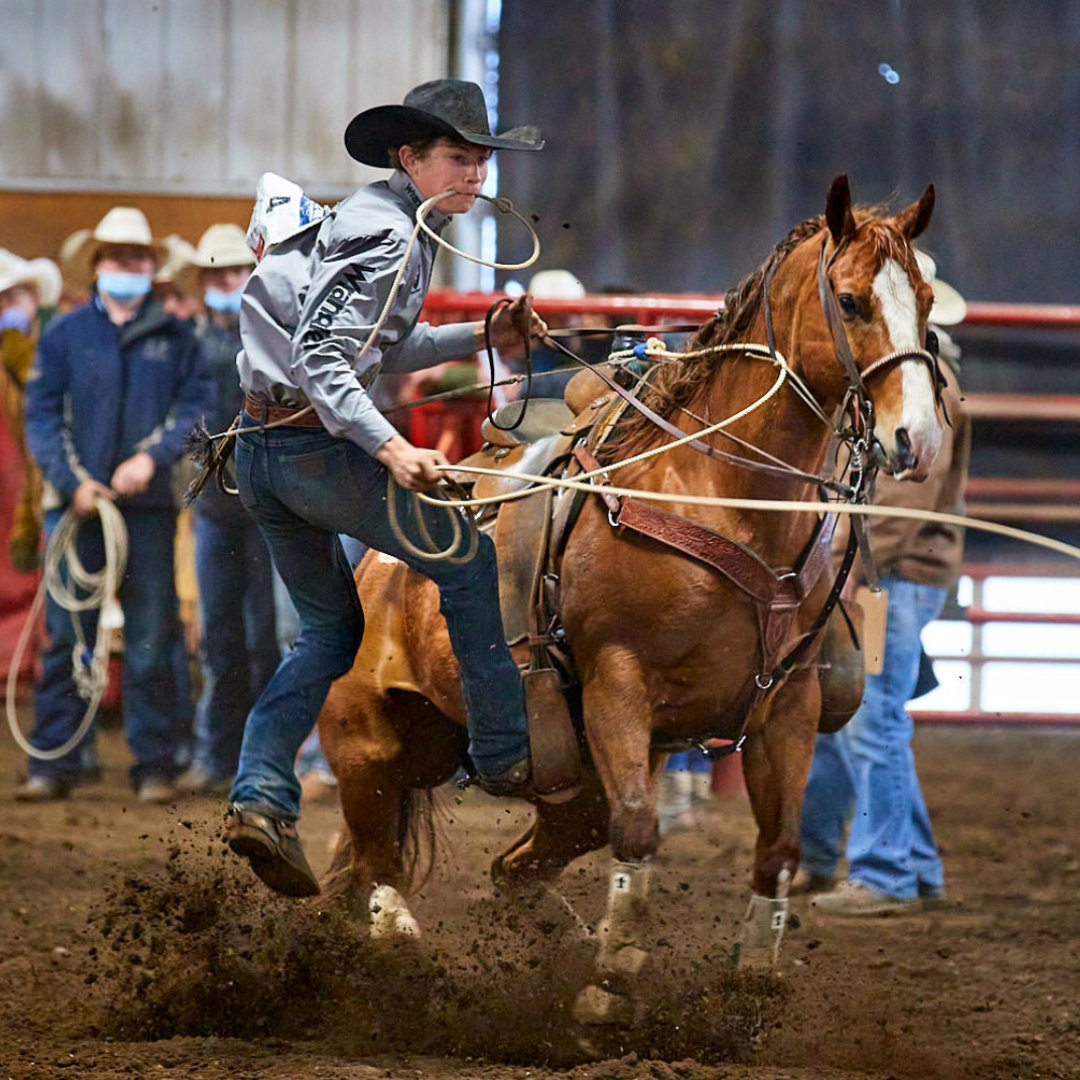 Equine & Canine Omega Complete | Southern Equine Distributing